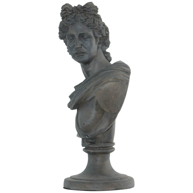 APOLLO BUST 24X36X15CM – Transnatal