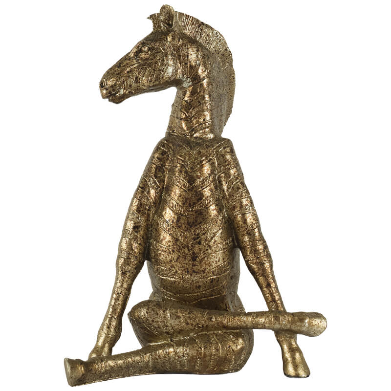 YOGA ZEBRA 25CM – Transnatal