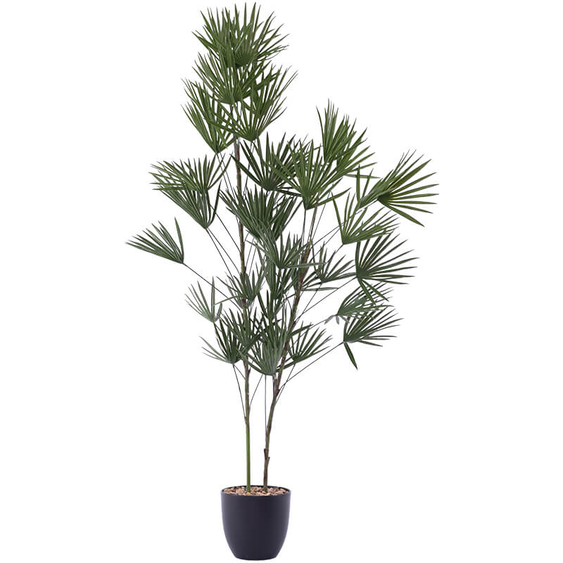 FINGER LEAF PALM 120CM – Transnatal