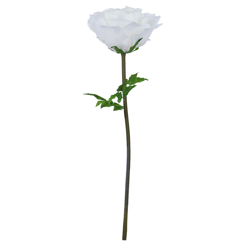 CREAM ROSE STEM 136CM HIGH 40CM DIAMETER – Transnatal