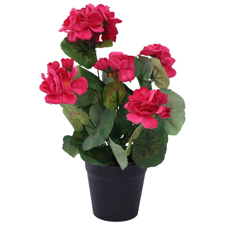 PINK GERANIUM PLANT IN POT 32CM – Transnatal